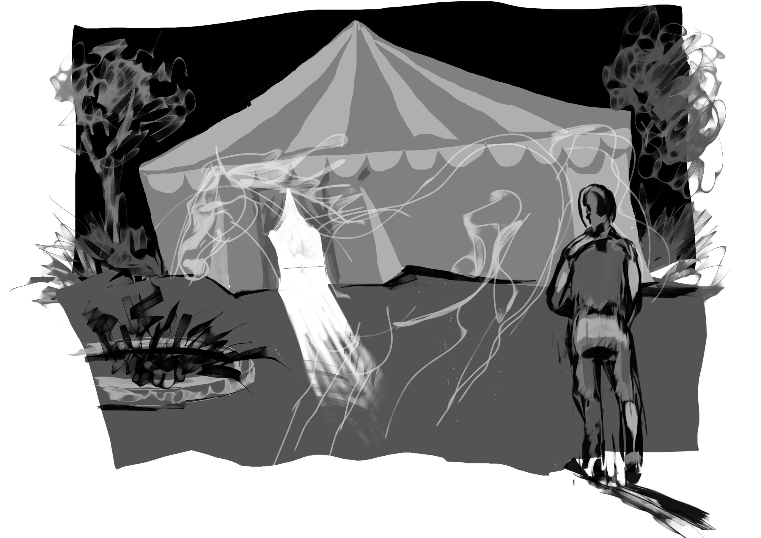 Il circo - Edizioni Open